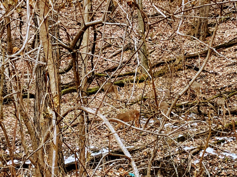 Springdale Inside Out Loop – The Peoria Hiker